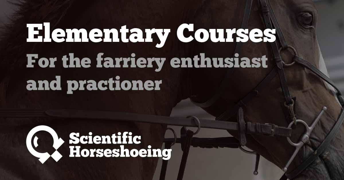 Elementary Courses - Scientific Horseshoeing